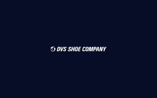 DVS Logo Redesign by SUPERBASE | Top Logo Designs of 2025